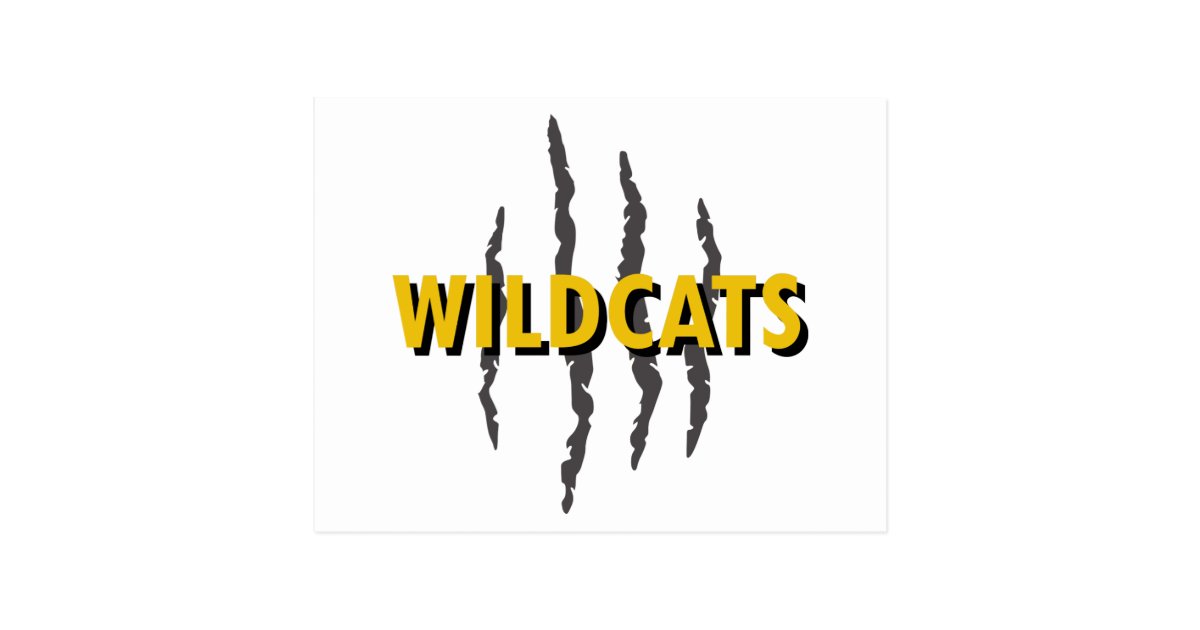 Wildcats Claw Marks Postcard | Zazzle.com.au