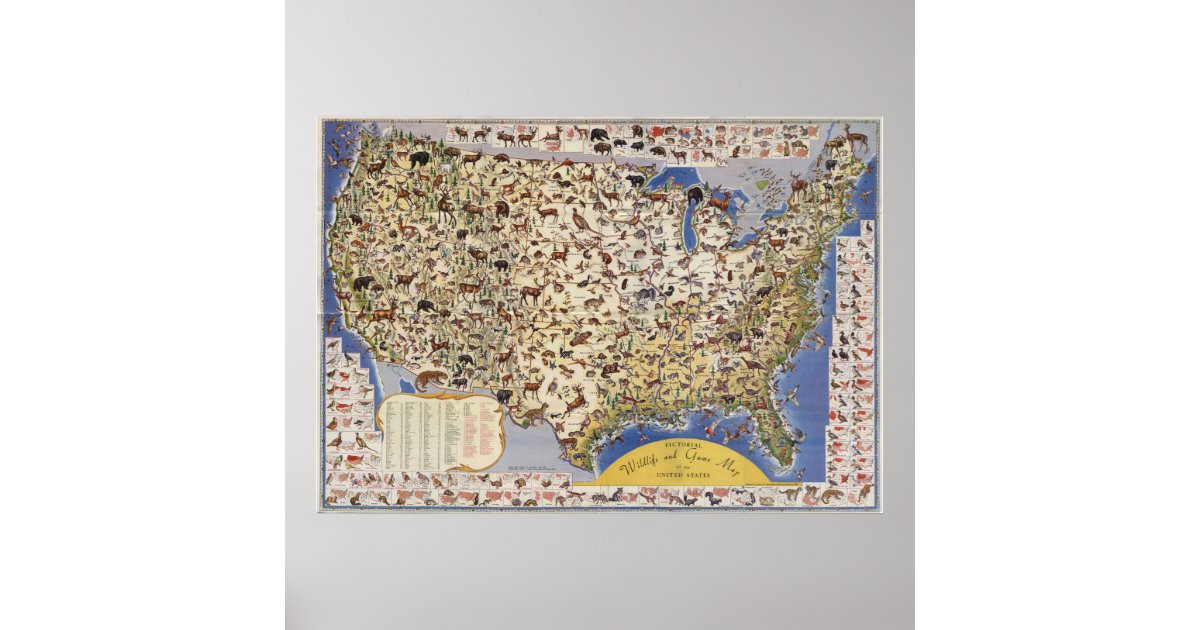 Wildlife & Game Map of the United States Poster | Zazzle