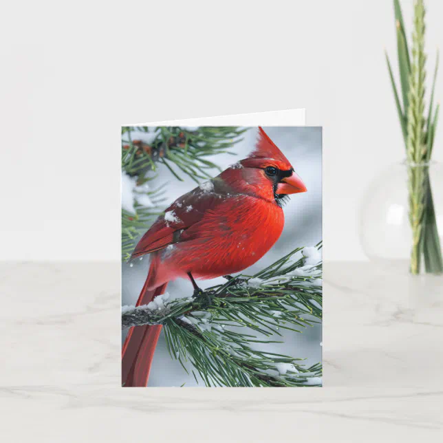 Winter Male Cardinal Bird Christmas Party Wedding Invitation | Zazzle