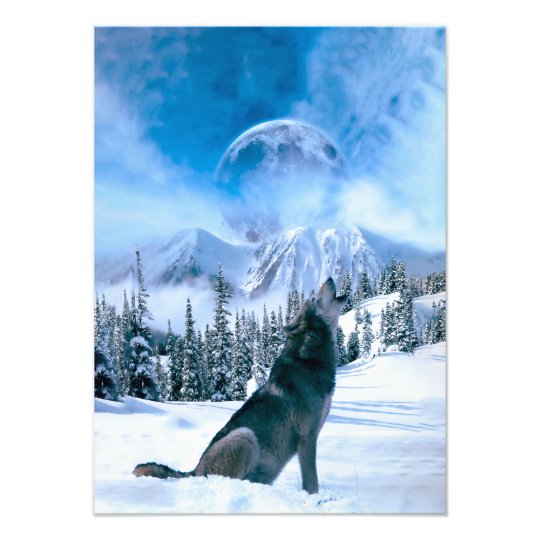 Wolf Call Photo Print | Zazzle.com.au