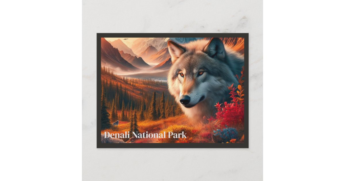 Wolf Sunset Denali State Park Postcard | Zazzle