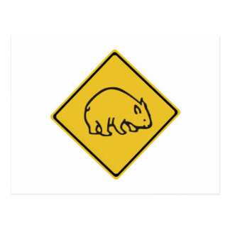 Wombat Postcards | Zazzle.com.au