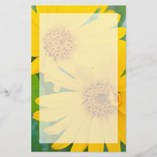 Wyoming, Sublette County, Close-up of two Arrow Stationery | Zazzle