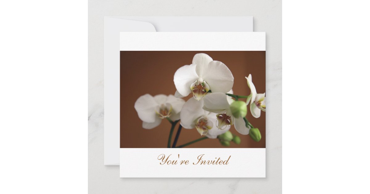 You're Invited Invitation | Zazzle