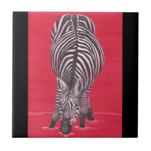 Zebra Decorative Ceramic Tiles | Zazzle.com.au