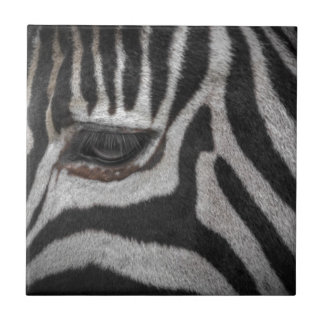 Zebra Ceramic Tiles | Zazzle.com.au